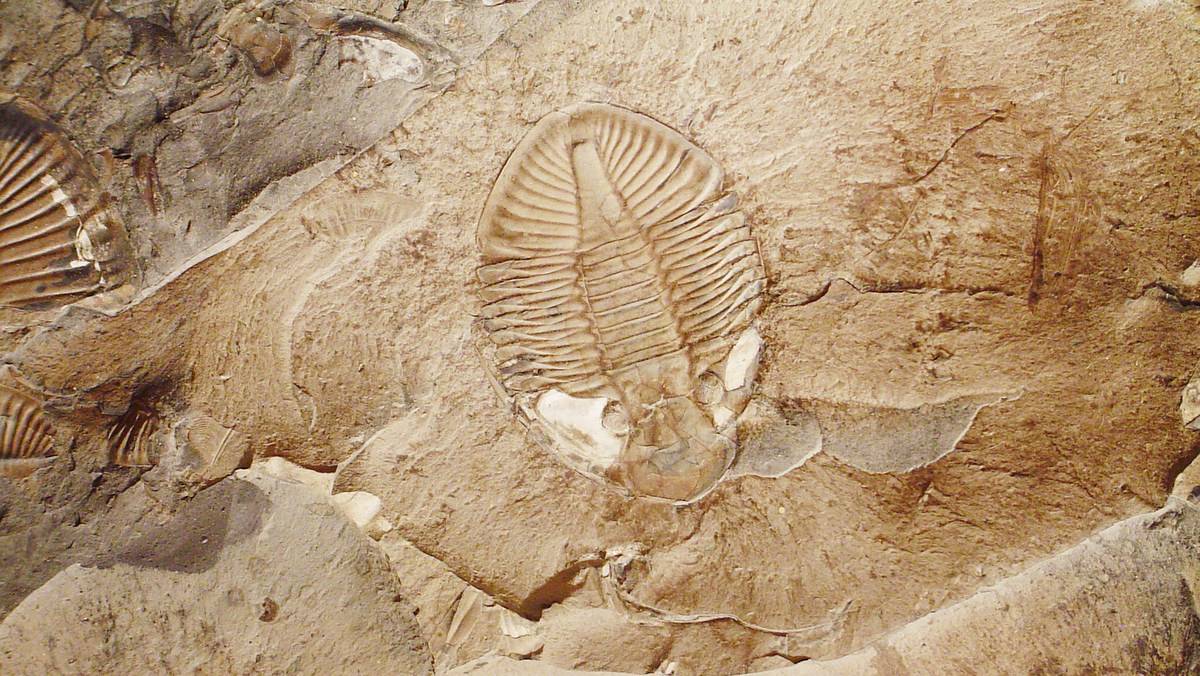 MPB : Mississippi Public Broadcasting