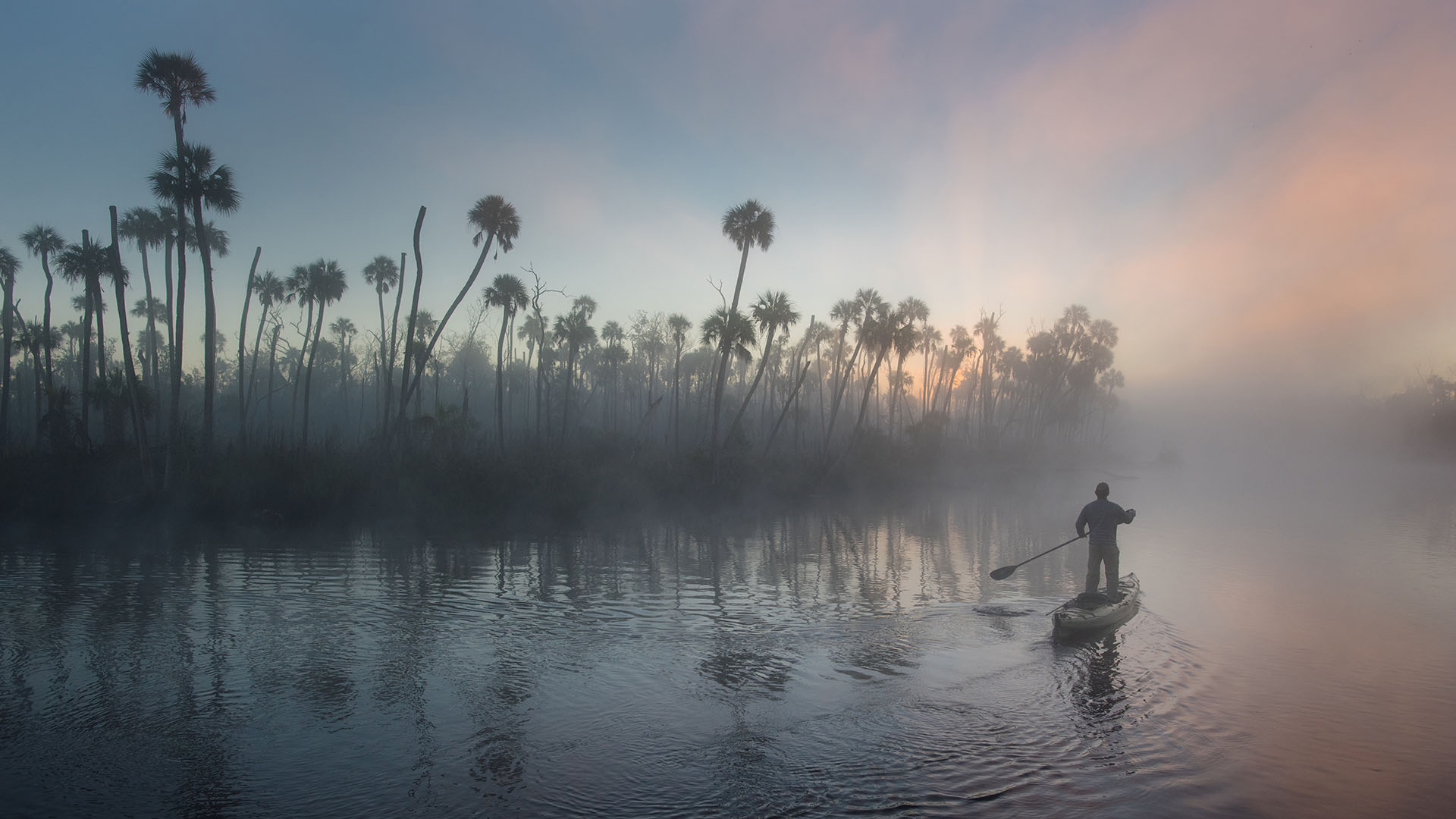 The Forgotten Coast: Return to Wild Florida | PBS Programs | PBS