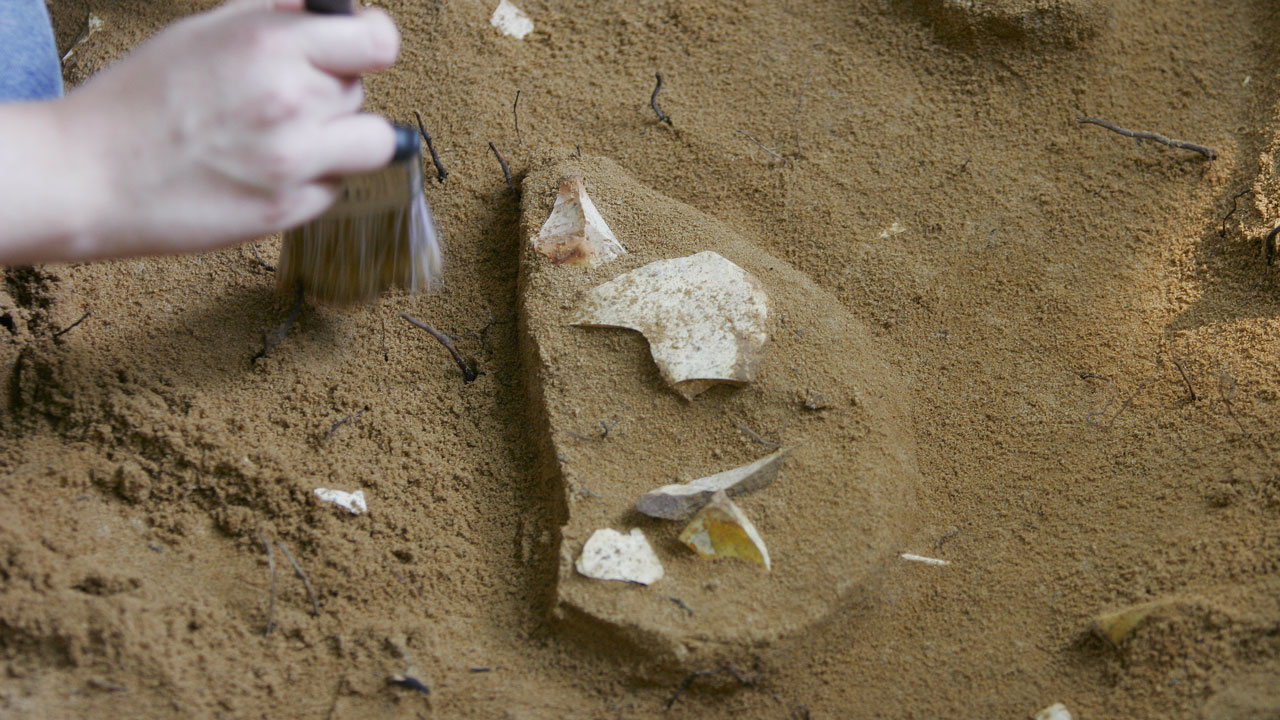 Fort Raleigh | Time Team America | PBS